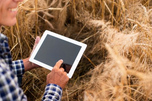 Farm digitalization in 2026: how much does it cost, what does it ...